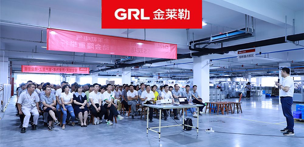 GRL Electric conducts "Quality Inspection Knowledge" training - GRL GRUOP